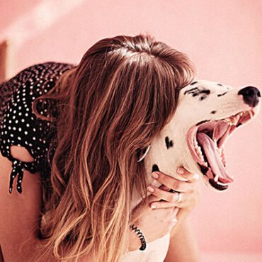 Dog From the Movie Friday – What Is His Name? - FunDogFitness.com