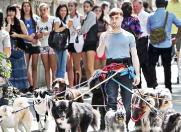 Daniel Radcliffe Walking Dogs - FunDogFitness.com